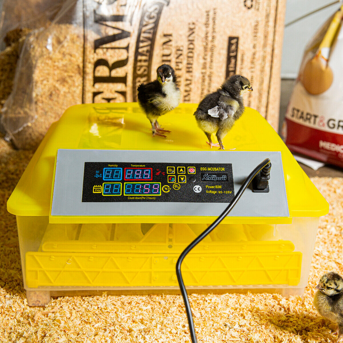 48 Egg Automatic Incubator Digital Hatcher Incubater – JABETC