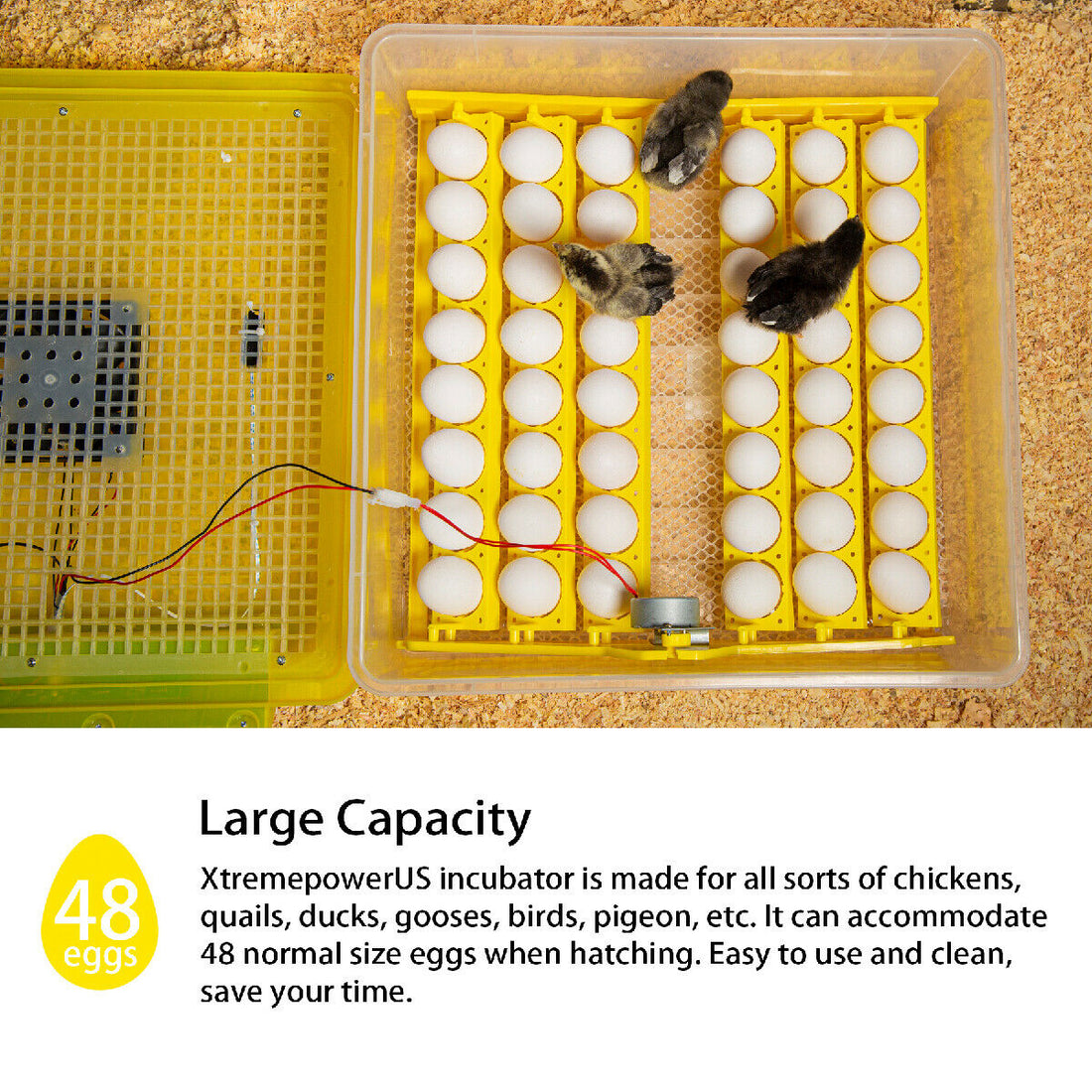 48 Egg Automatic Incubator Digital Hatcher Incubater – JABETC